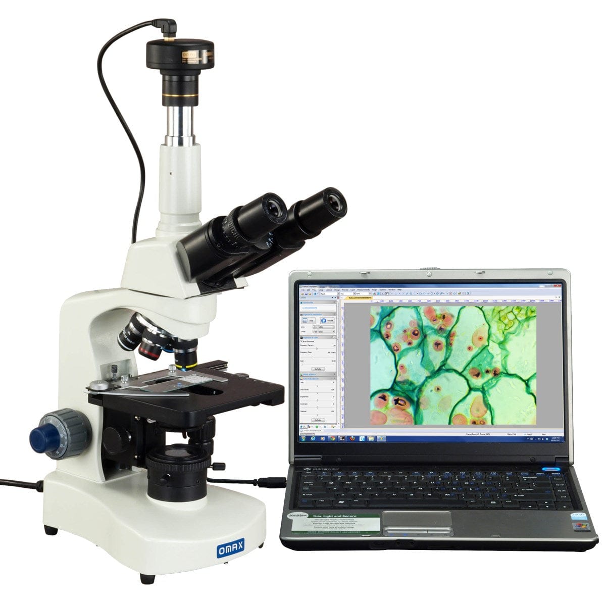 Illuminator Microscope