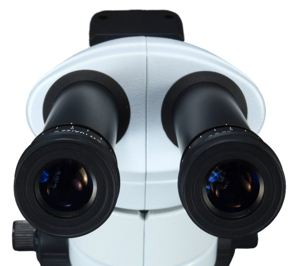8X~80X Common Main Objective Stereomicroscope w/ Dual LED Light – Omax
