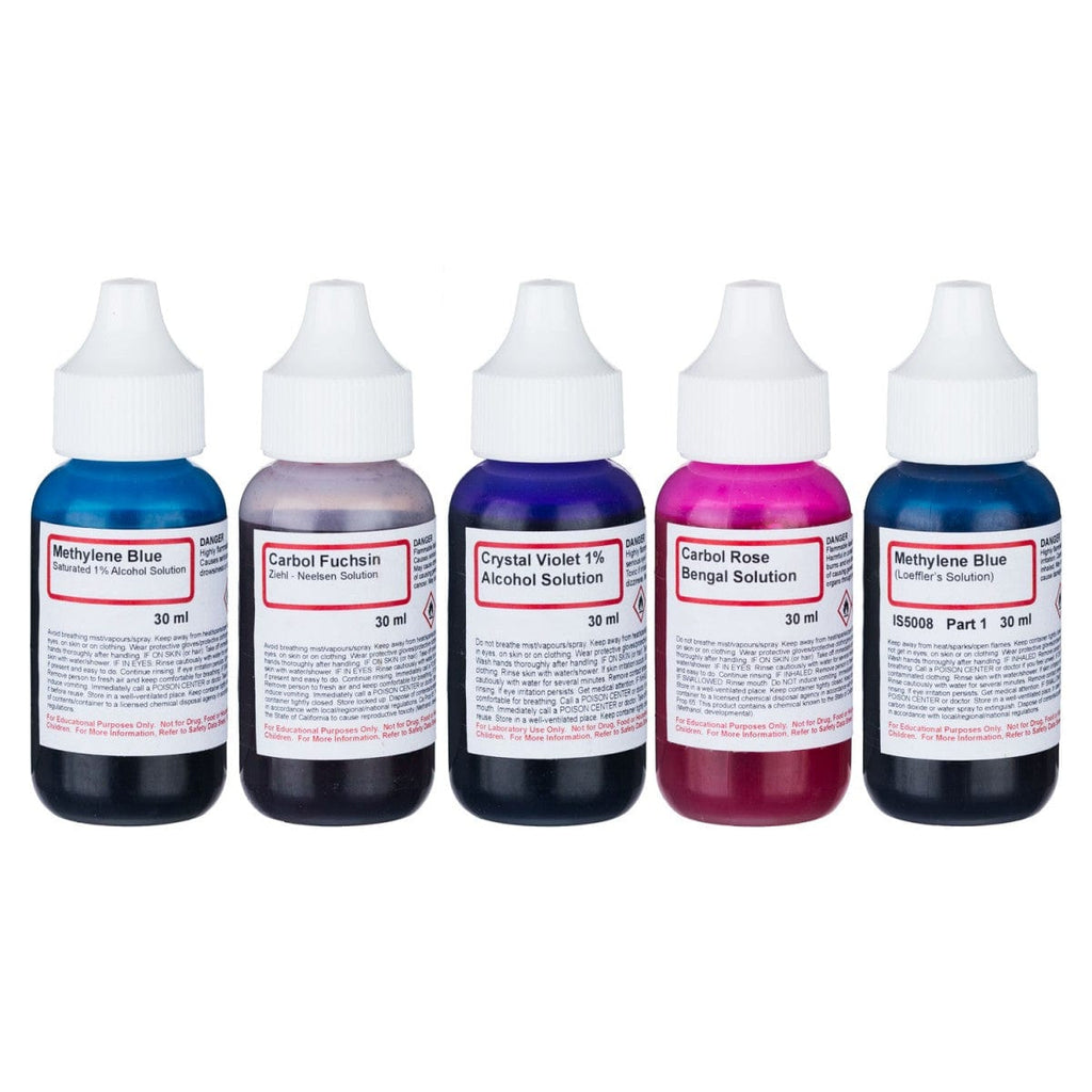 Bacteria Stain Kit of Five Chemicals for Preparing Microscope Slides – Omax