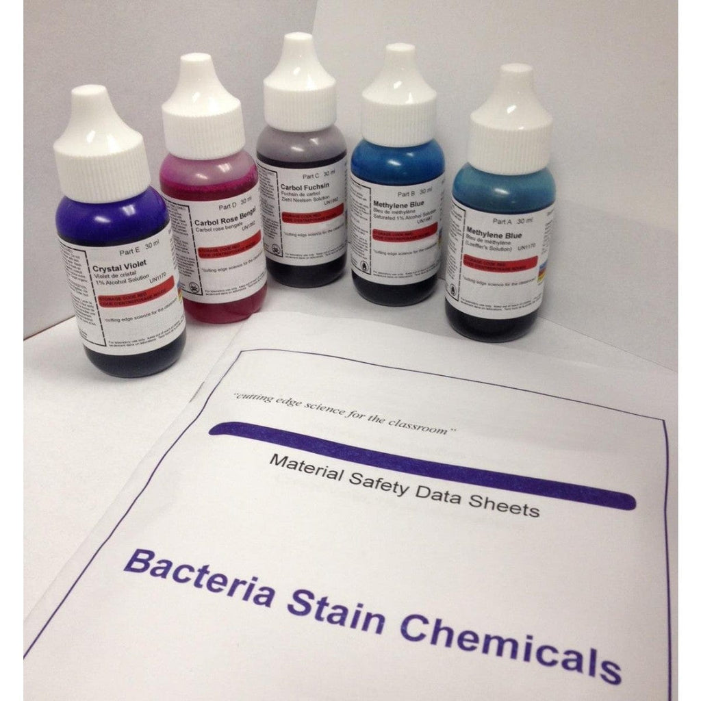 Bacteria Stain Kit of Five Chemicals for Preparing Microscope Slides – Omax