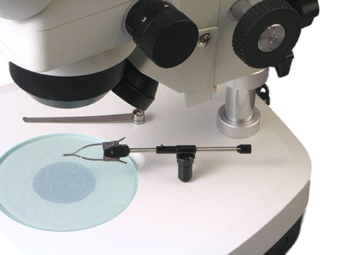 Tweezer for Stereo Microscope --- Wire Clip – Omax