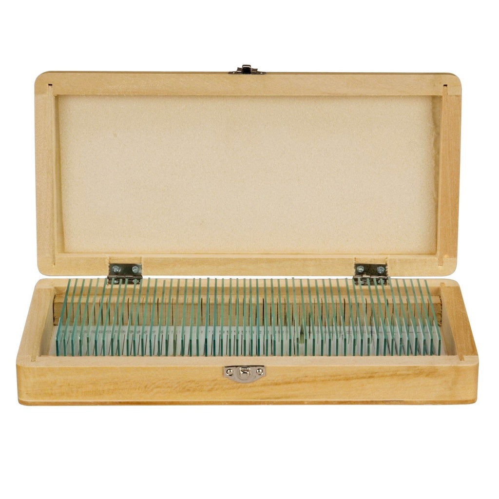 50 Prepared Slides with Wooden Box (Set A)+Blank Slides+Cover Slips+Le ...