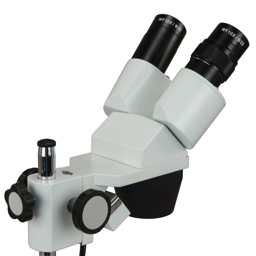 OMAX 10X-30X Student Binocular Stereo Microscope with Dual Lights and ...