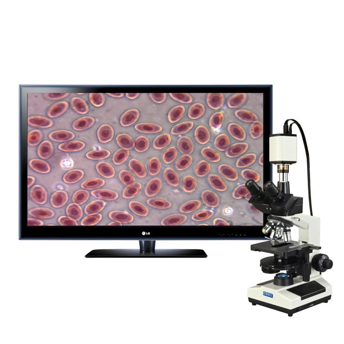 OMAX M837 Series Phase Contrast Trinocular LED Microscope 40X-2500X Ma ...